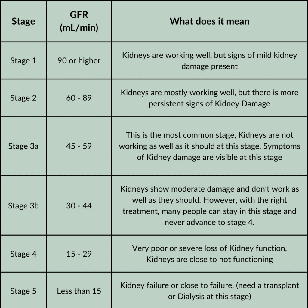 Transforming CKD Management: Leveraging Digital Solutions for Enhanced ...