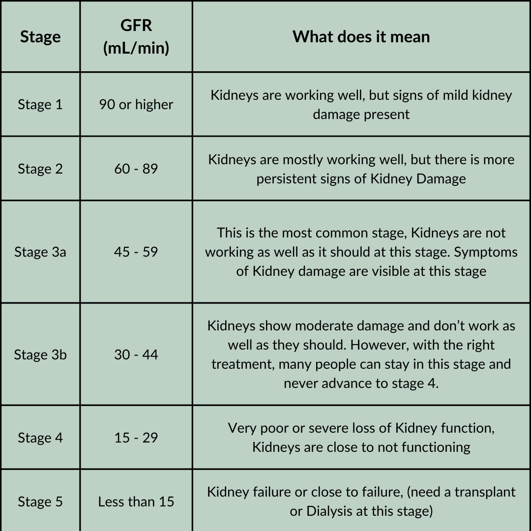 Transforming CKD Management: Leveraging Digital Solutions for Enhanced ...